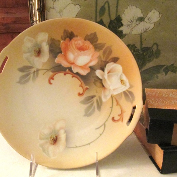 German Hand Painted Plates - Etsy