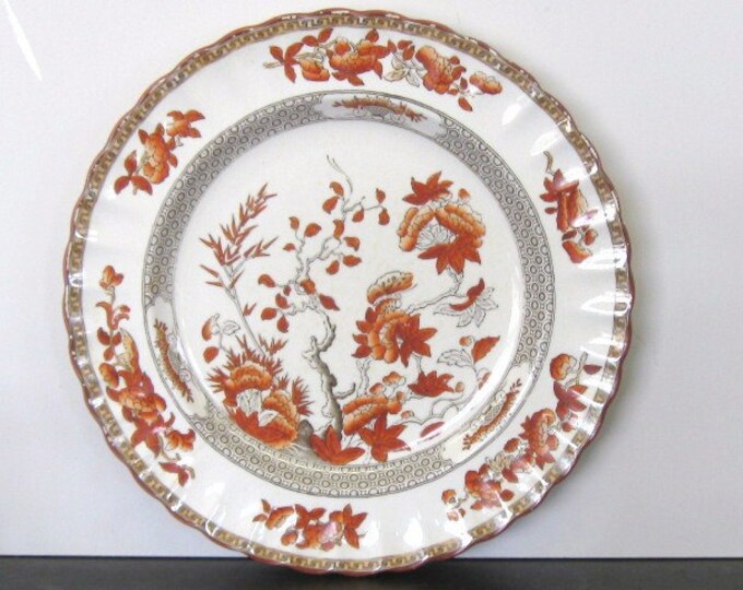 Spode Indian Tree, Tree of Life Plate Scalloped - Etsy