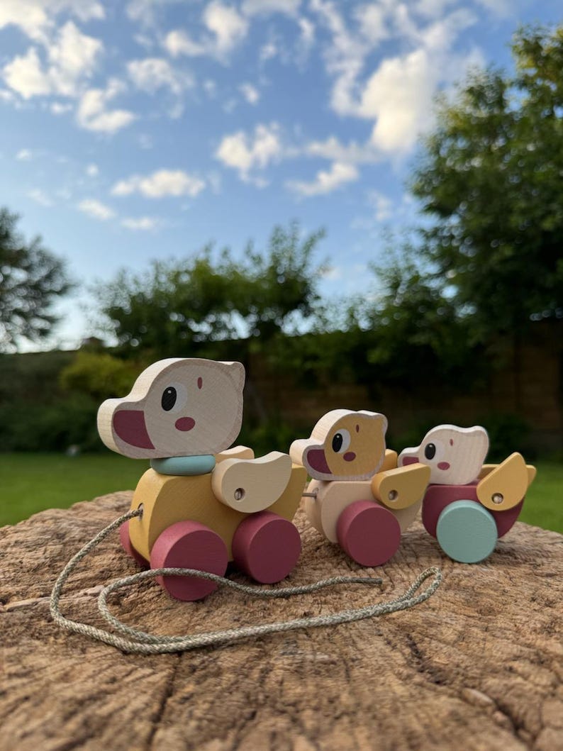 Handmade Wooden Duck Pull Toy – Montessori Learning, Eco-friendly - Etsy