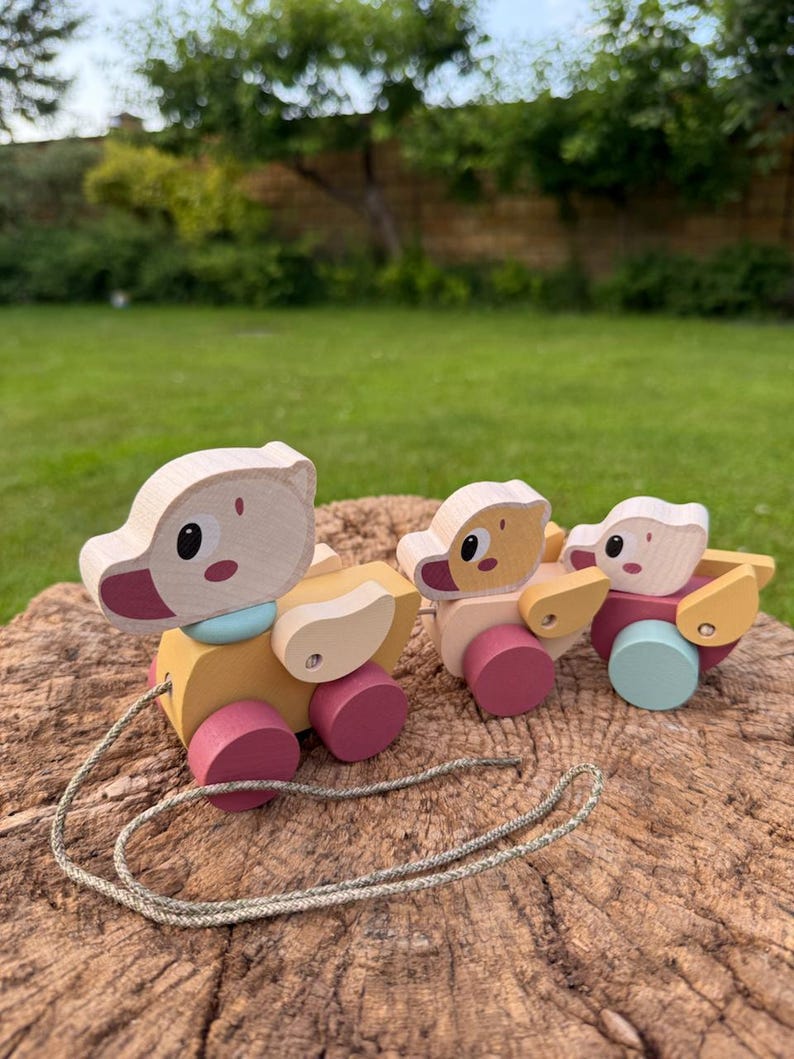 Handmade Wooden Duck Pull Toy – Montessori Learning, Eco-friendly - Etsy