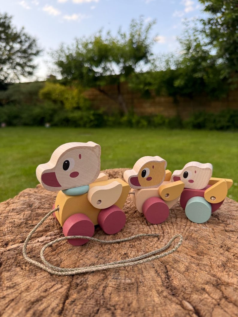 Handmade Wooden Duck Pull Toy – Montessori Learning, Eco-friendly - Etsy