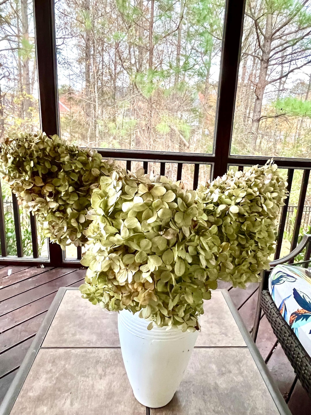 Five Dried Limelight Hydrangeas - Etsy
