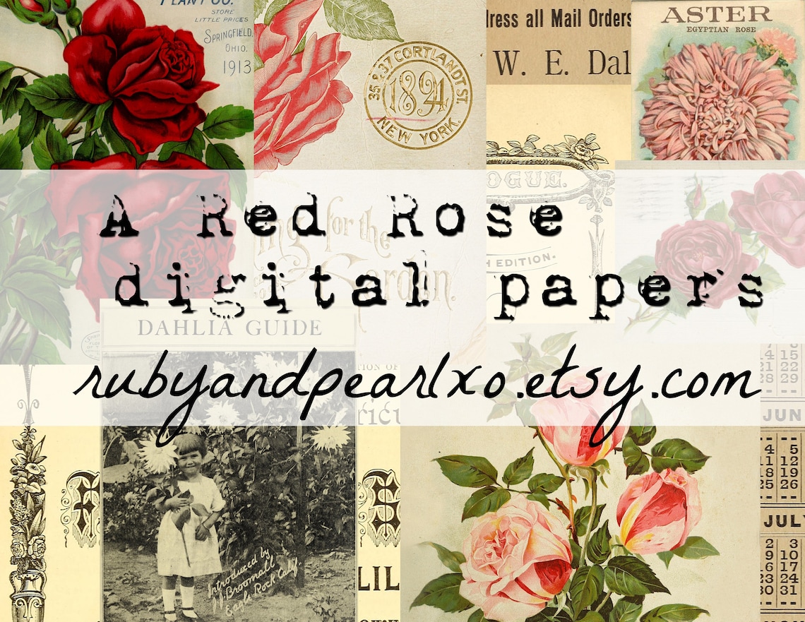 A Red Rose Collection Digital Download Antique Papers - Etsy