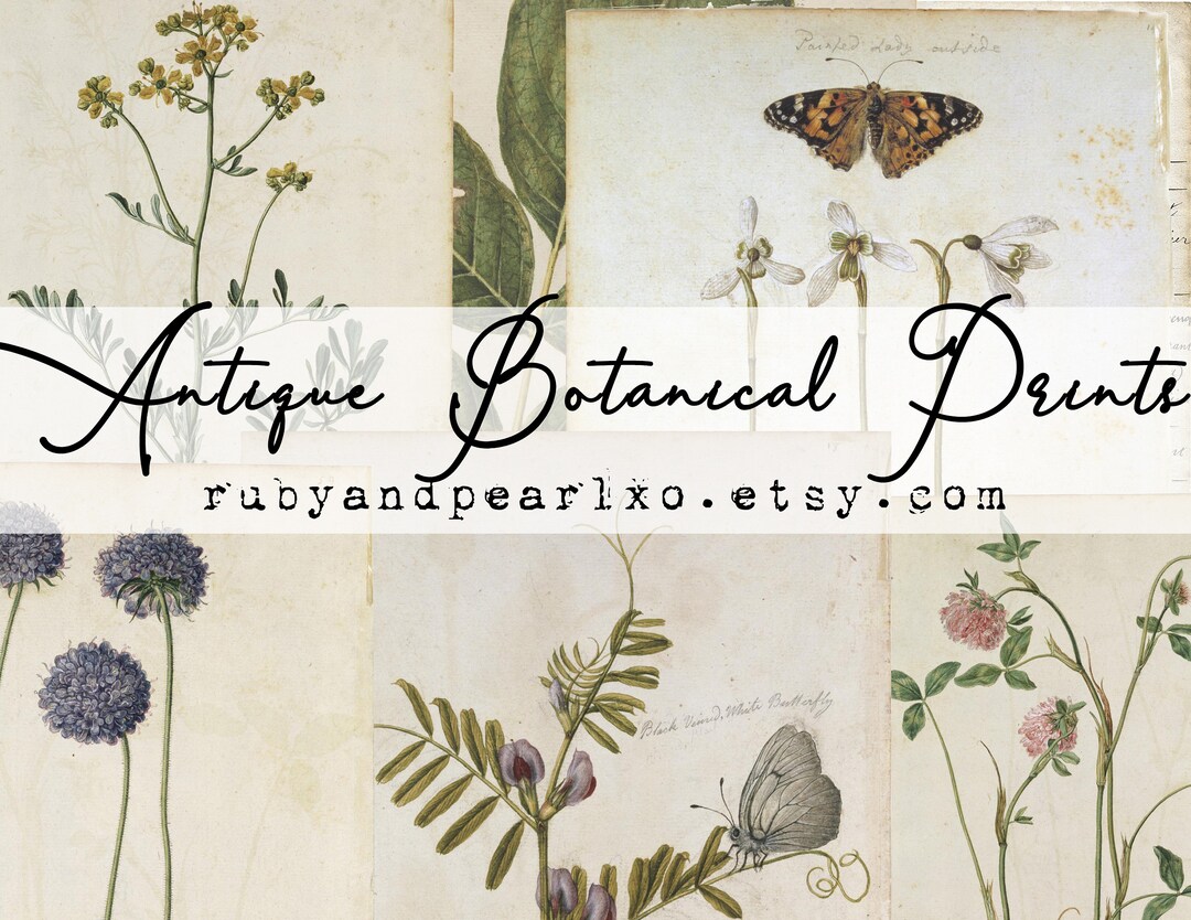 Antique Botanical Collection - 21 Hiqh Quality Images- Digital Download ...