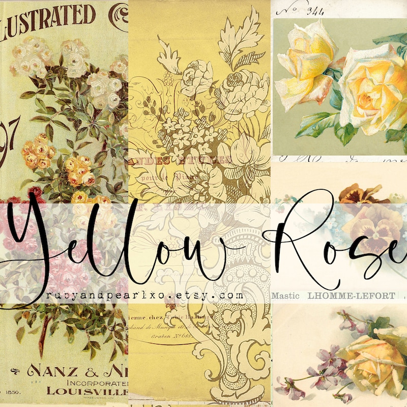 Antique Yellow Rose Art - Etsy