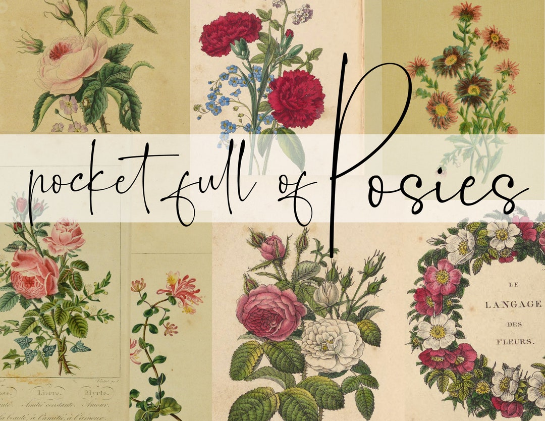 Pocket Full of Posies Collection - 24 Images - Digital Download ...