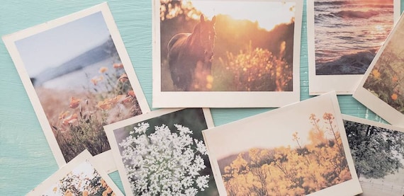 Golden Hour Floral Vintage Style Instant Photo Frames & - Etsy