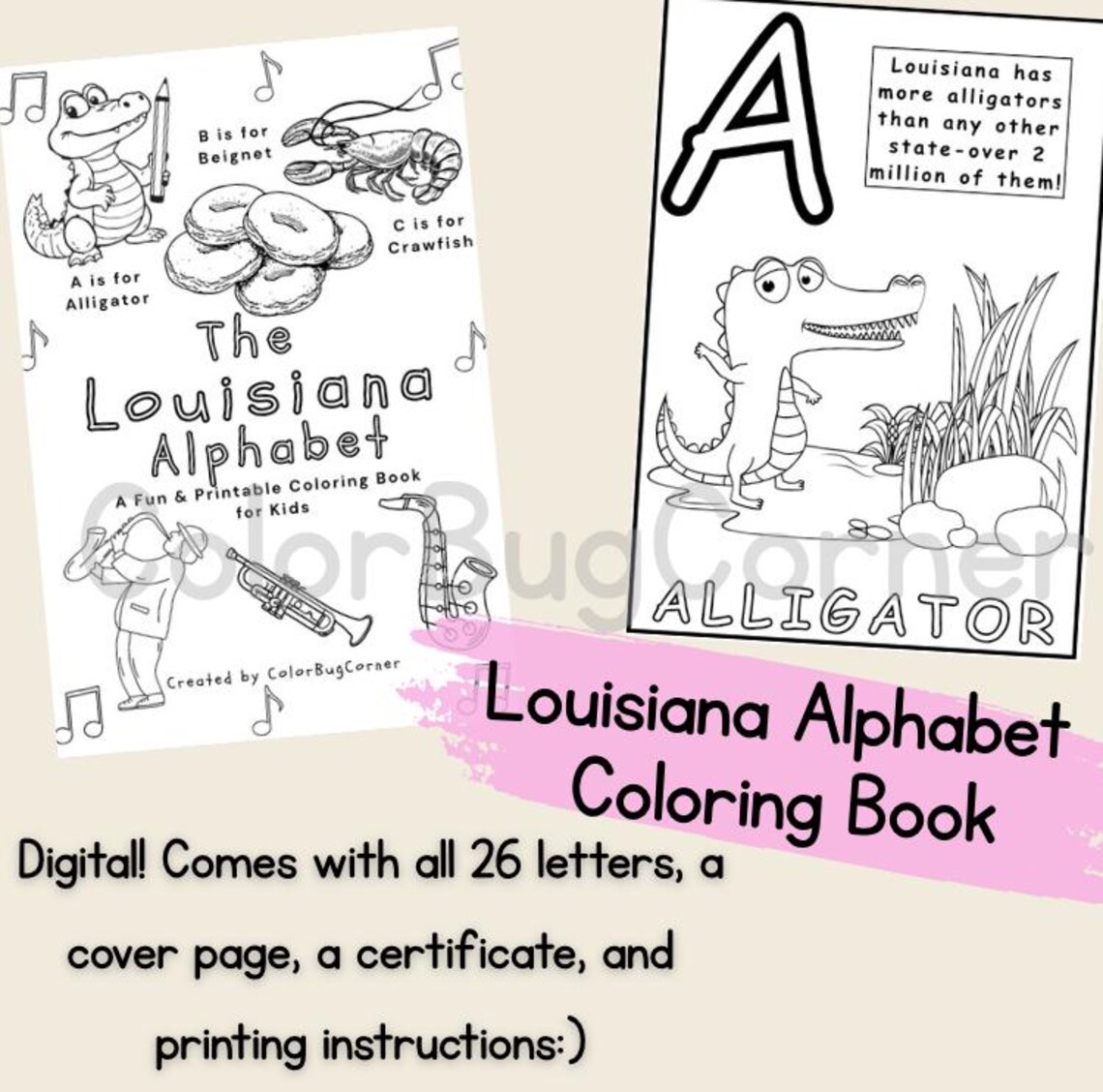 Louisiana Alphabet Coloring Book- A to Z Bayou Adventure for Kids! - Etsy