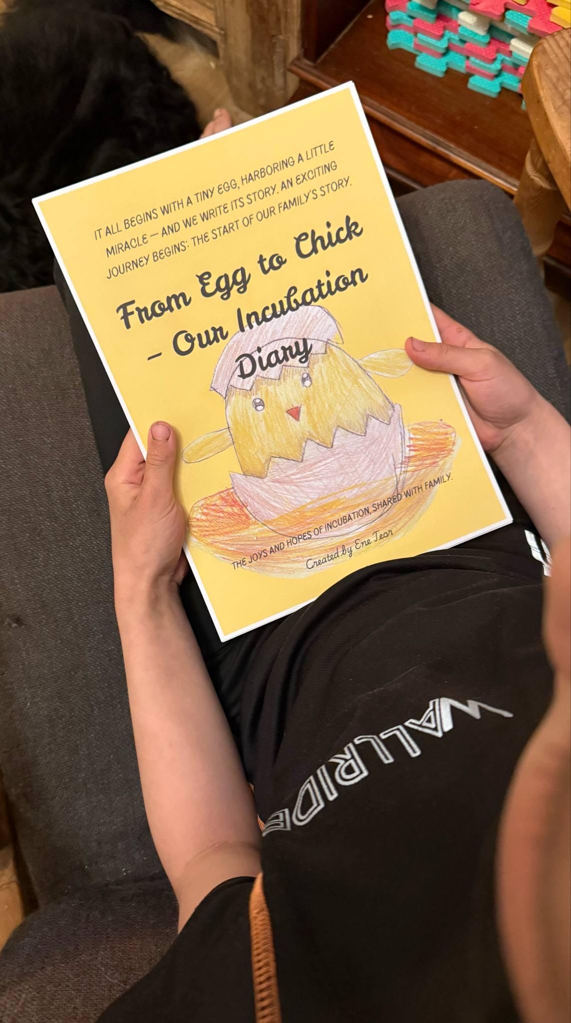 Chicken Egg Incubation Journal: 30-day Hatching Tracker (digital PDF ...