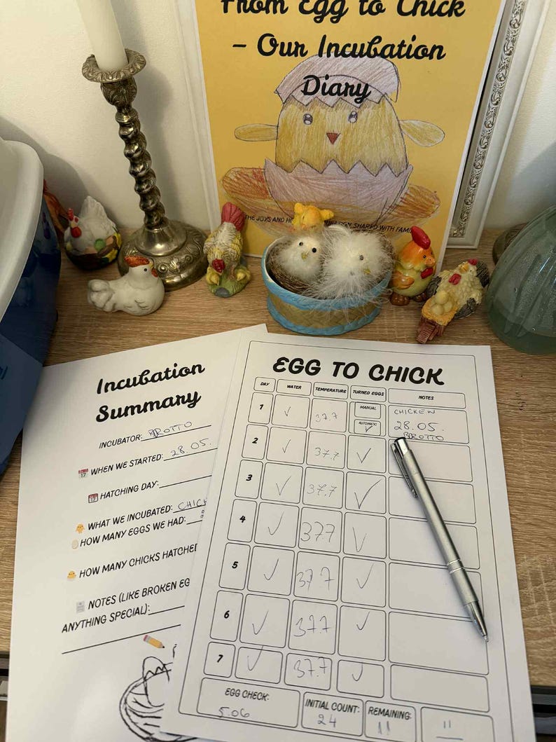 Chicken Egg Incubation Journal: 30-day Hatching Tracker (digital PDF ...
