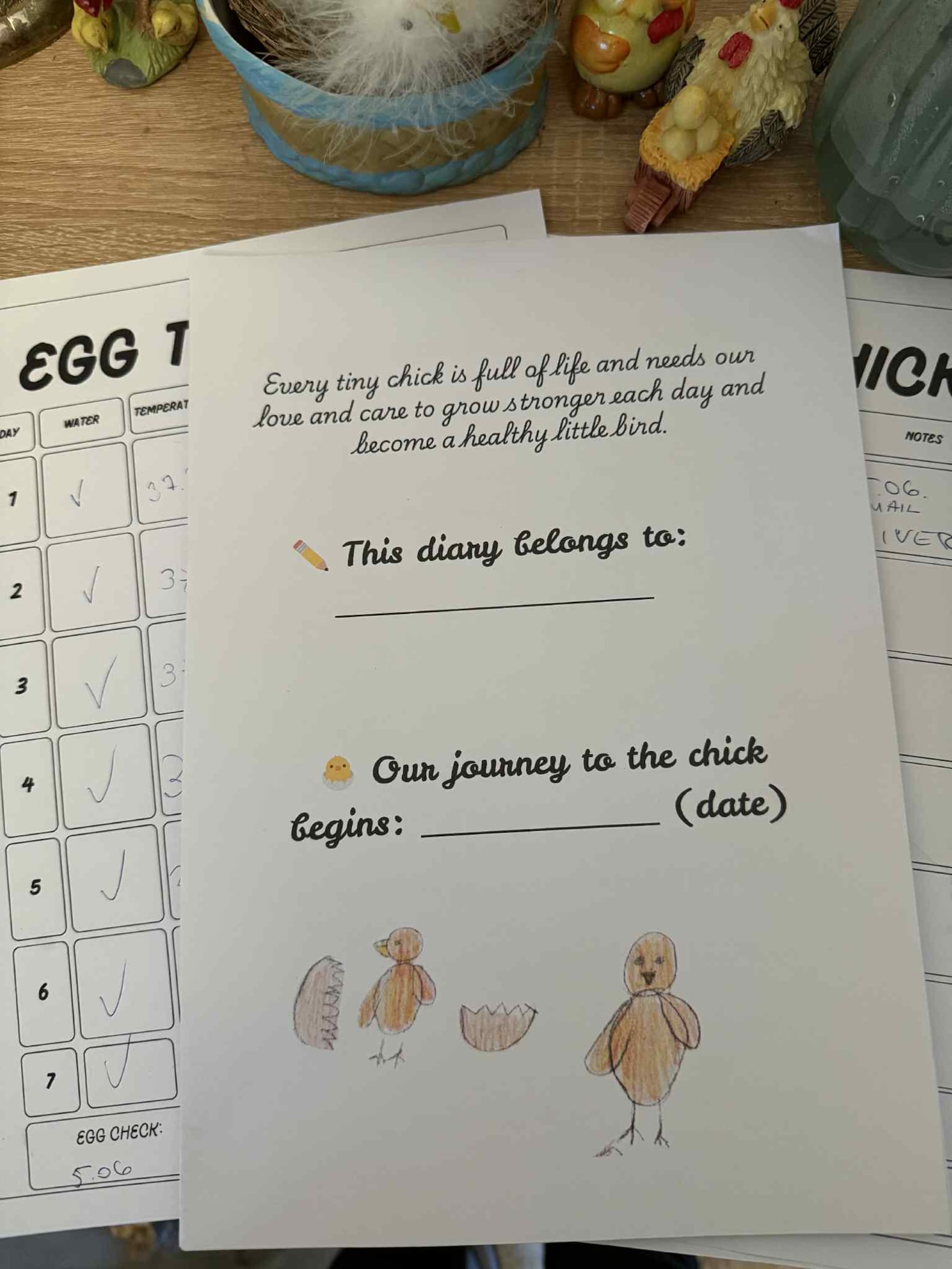 Chicken Egg Incubation Journal: 30-day Hatching Tracker (digital PDF ...