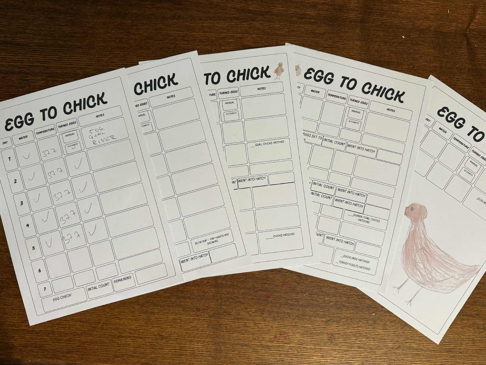 Chicken Egg Incubation Journal: 30-day Hatching Tracker (digital PDF ...