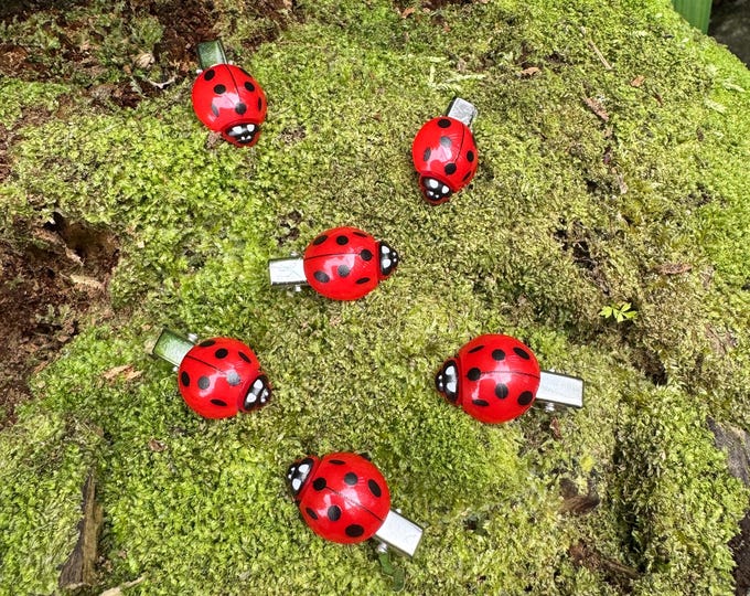 Ladybug Hair Clips - Etsy UK