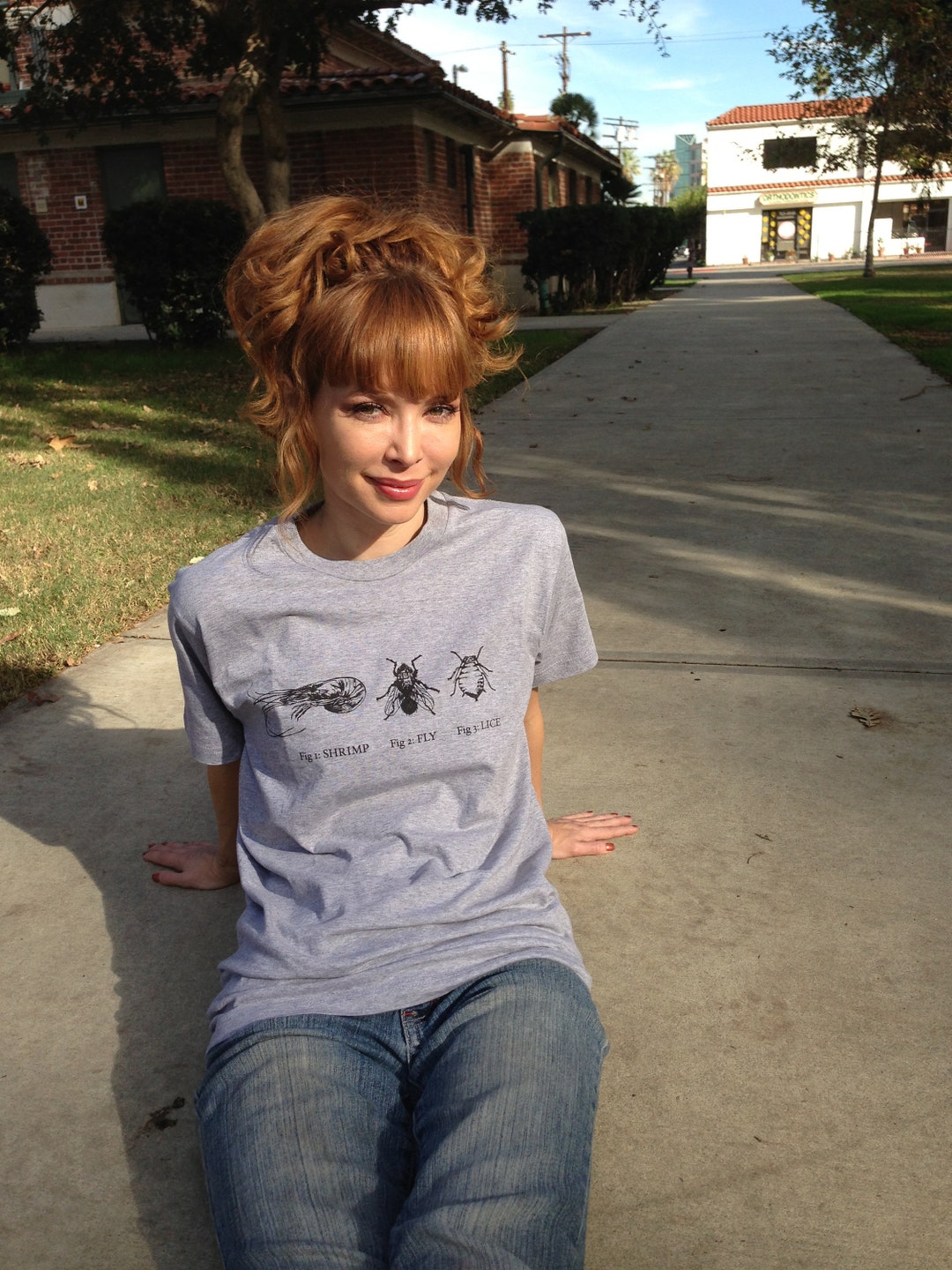 ETSY EXCLUSIVE! Shrimp Fly Lice (women's) Chinese Humor - Asian T-shirt ...