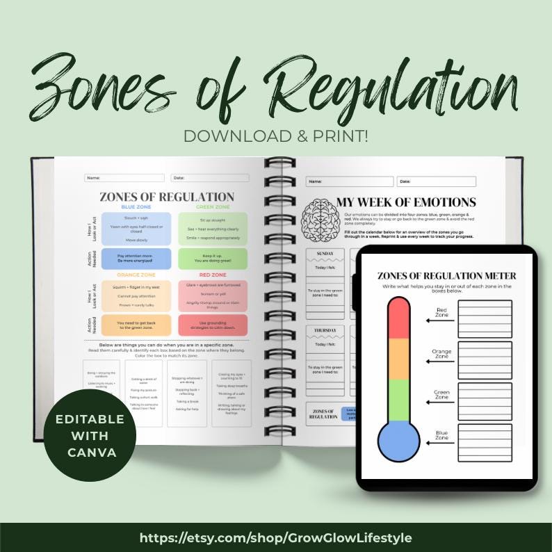 Zones of Regulation Emotions Bundle Therapy Session: Printable ...
