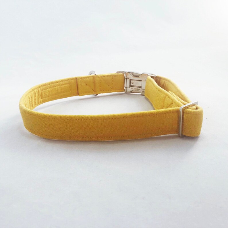 Yellow Dog Collar Gold Dog Collar Boy Dog Collar Girl | Etsy