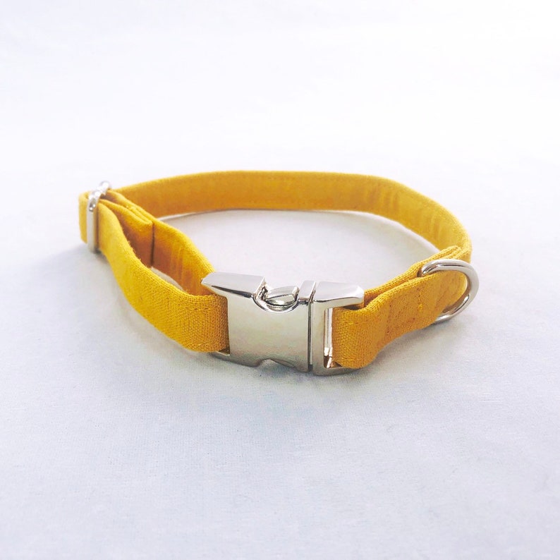 Yellow Dog Collar Gold Dog Collar Boy Dog Collar Girl | Etsy