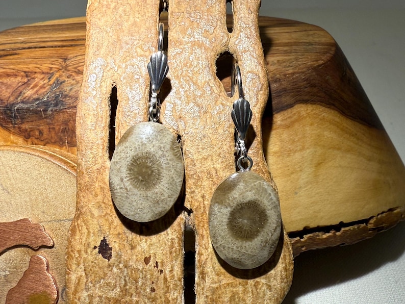 Petoskey Stone Oval Surgical Steel or Sterling Silver Lever Back ...