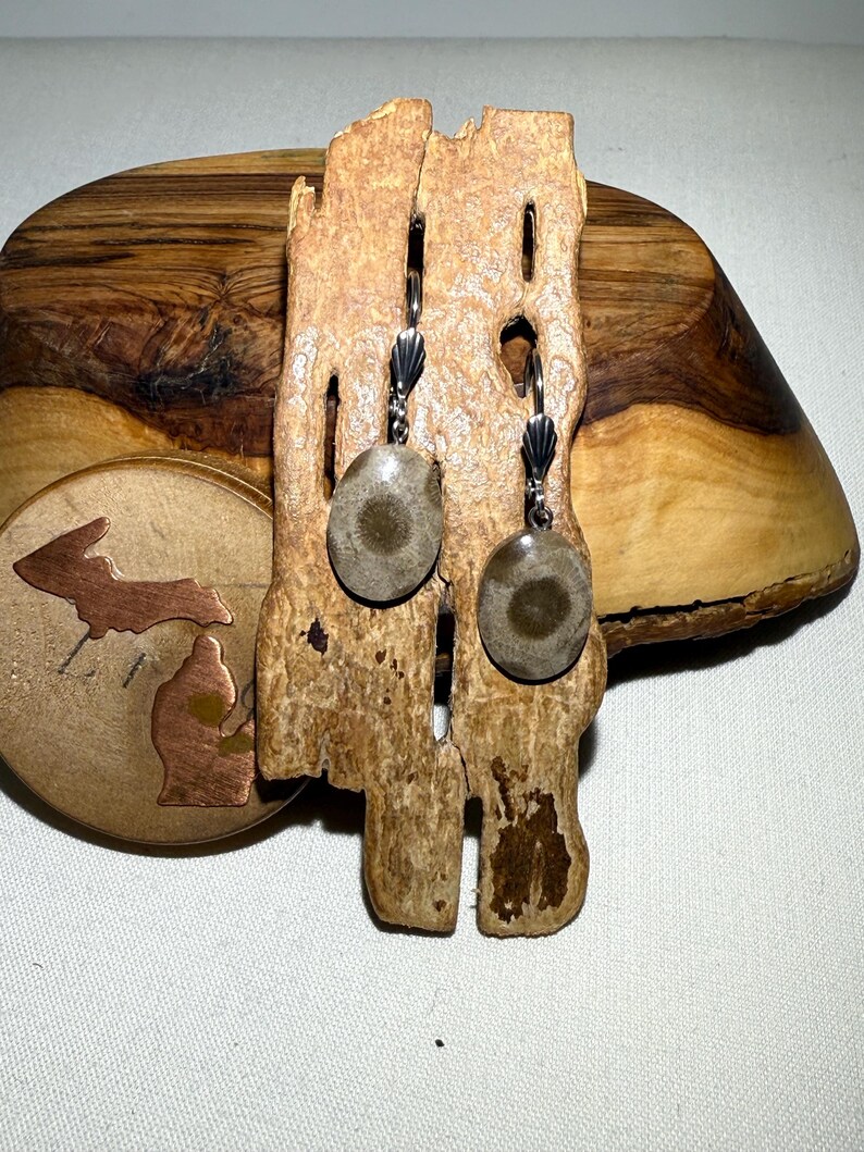 Petoskey Stone Oval Surgical Steel or Sterling Silver Lever Back ...