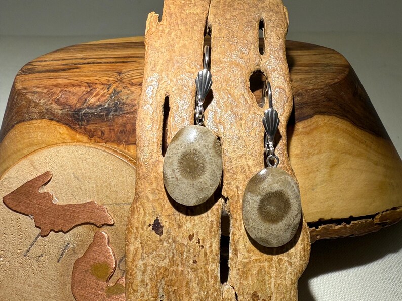 Petoskey Stone Oval Surgical Steel or Sterling Silver Lever Back ...