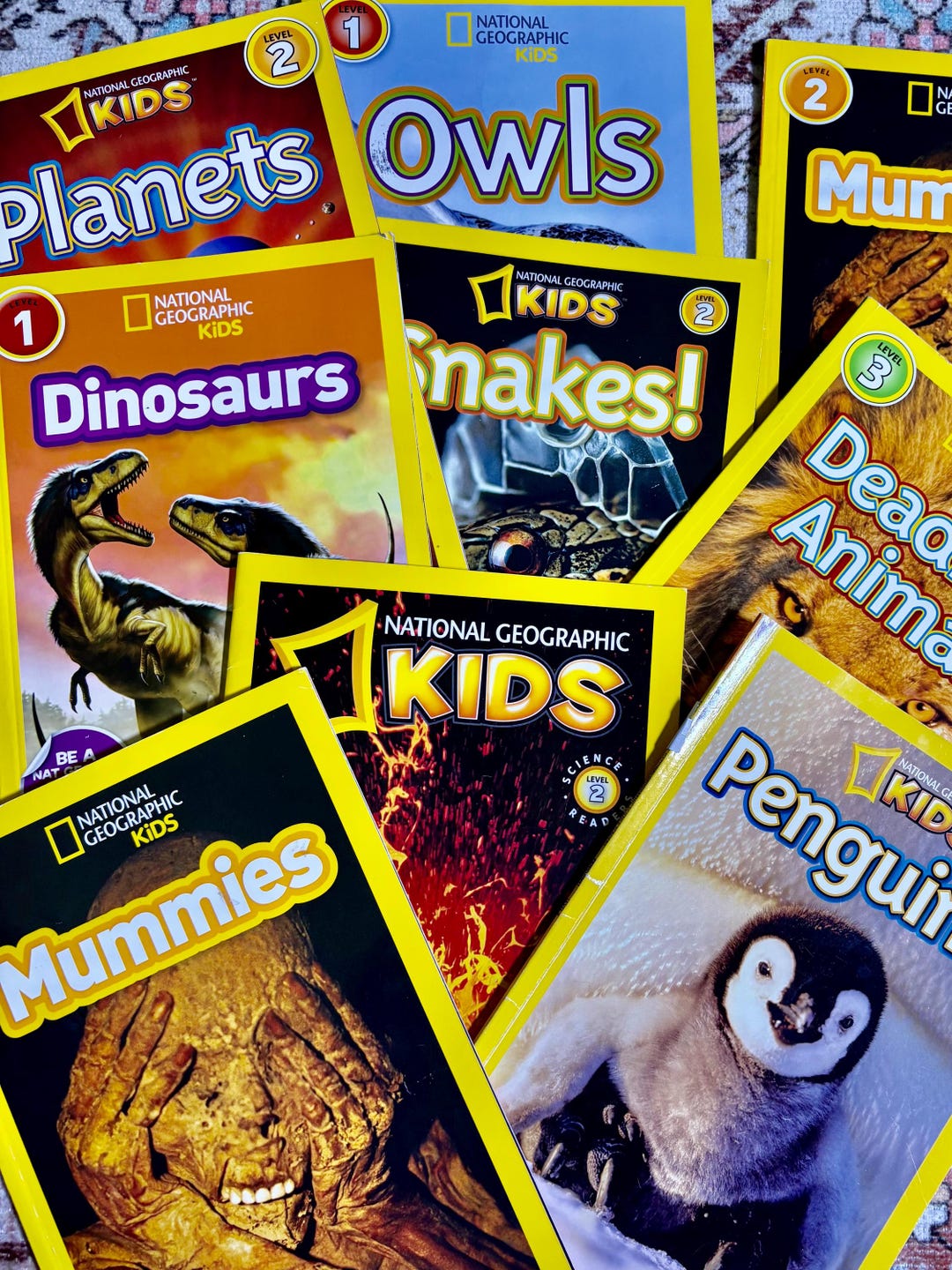 National Geographic Kids Book Lot: Random Mixed Titles - Etsy
