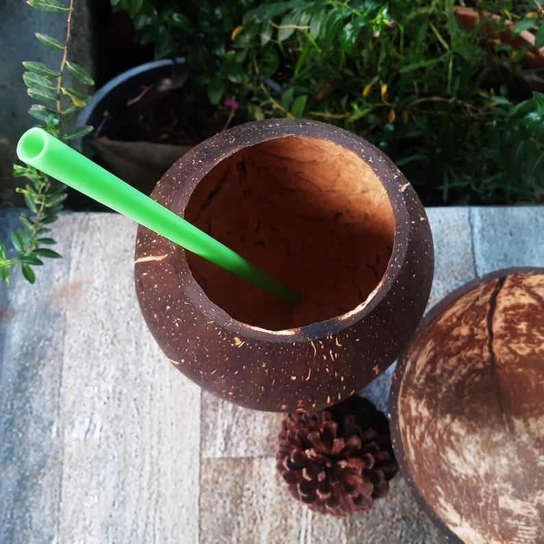 Handcrafted Coconut Shell Mug | Eco-friendly Tropical Drink Cup | Made ...