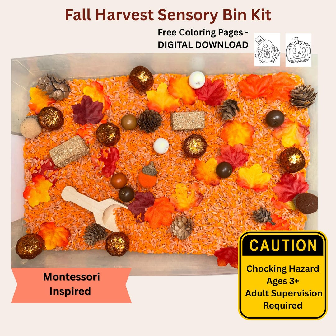 Autumn/fall Harvest Sensory Bin Kit: Montessori Toddler Activity - Etsy