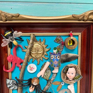 Oddity and Curiosity Collection Framed Art, Vintage Curiosities ...