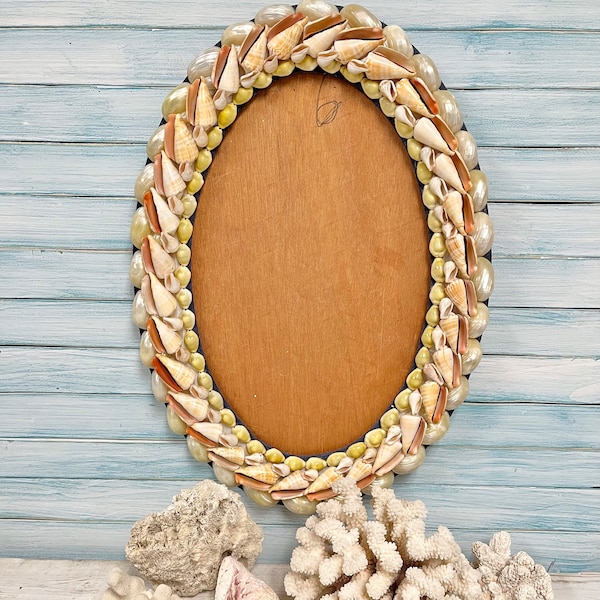 Shell Frame - Etsy