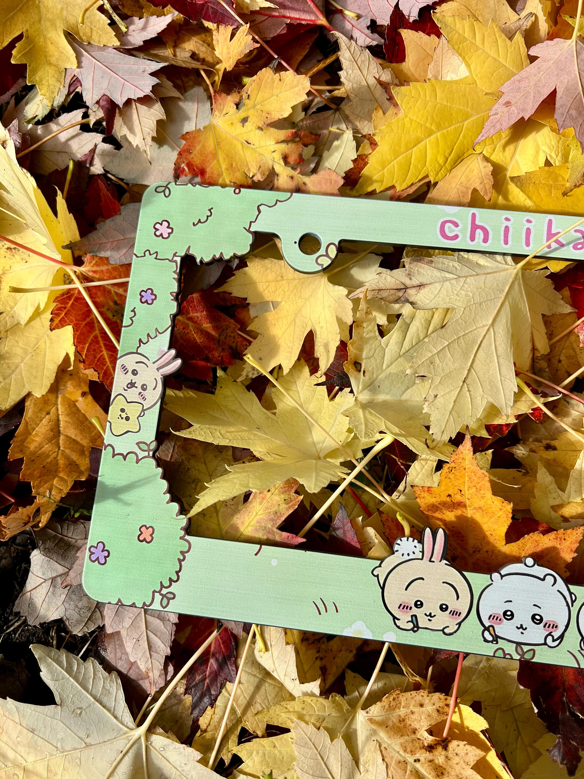 RESTOCKING IN PROGRESS Ships Mid March- Chi Kawa License Plate Frame ...
