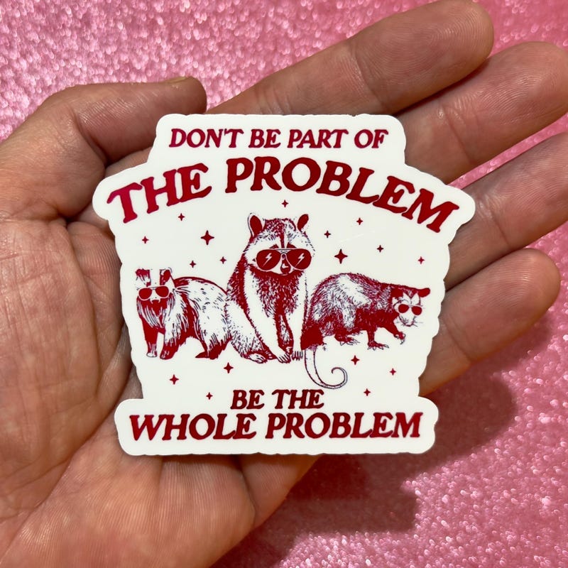 Opossum Stickers - Etsy