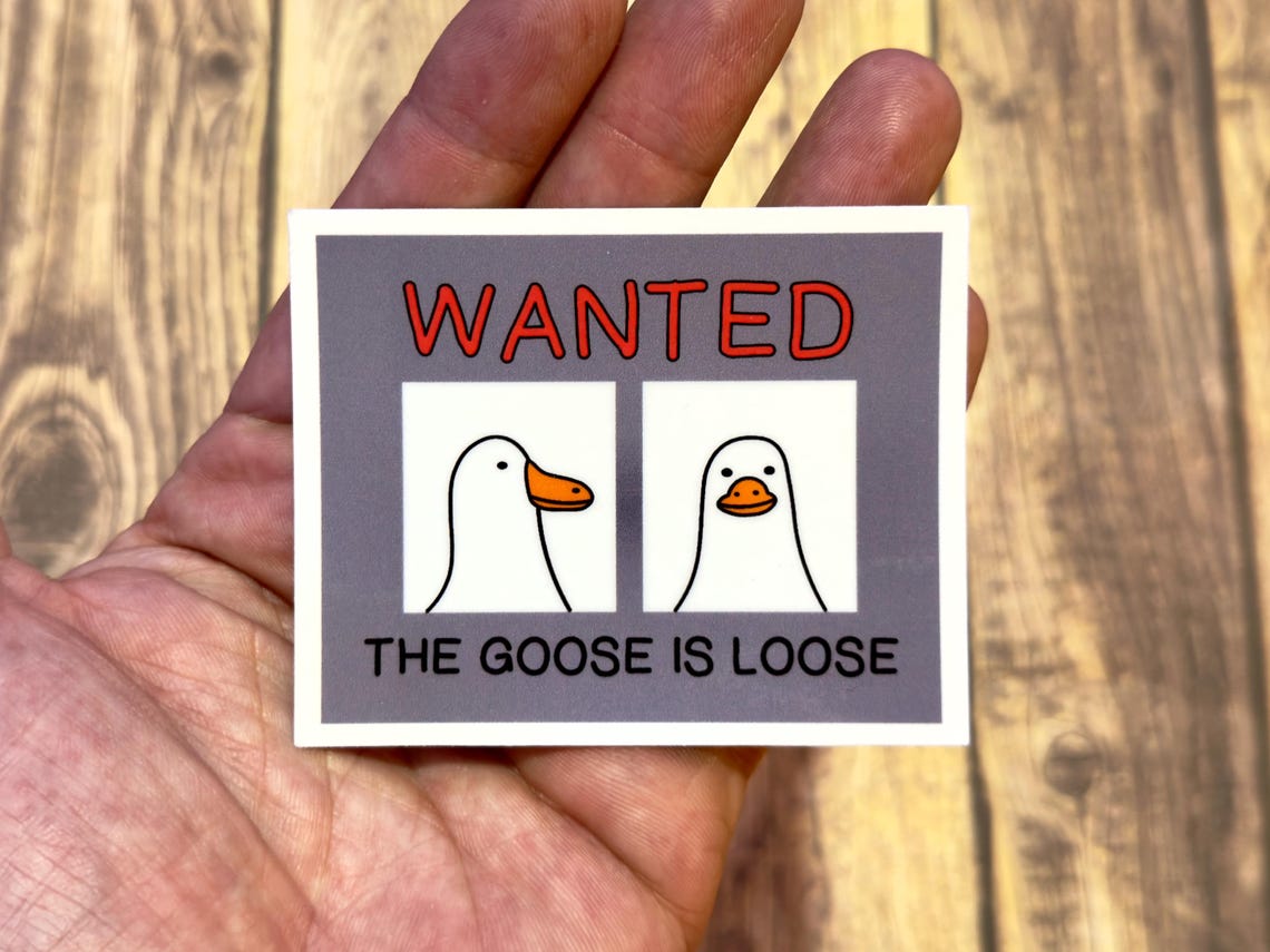 WANTED the Goose is Loose: Funny Trendy Meme, Sarcastic Mental Health ...