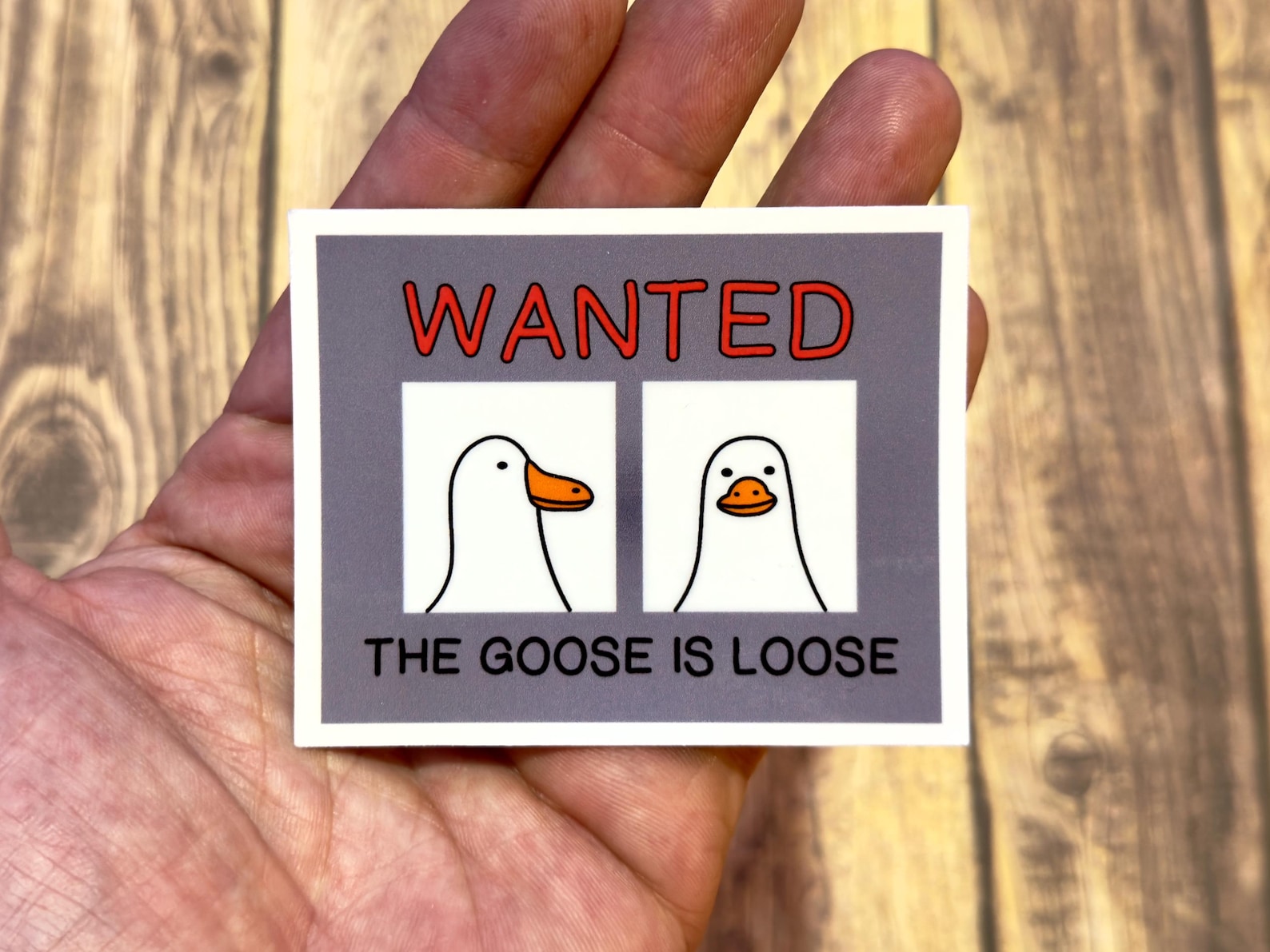 WANTED the Goose is Loose: Funny Trendy Meme, Sarcastic Mental Health ...