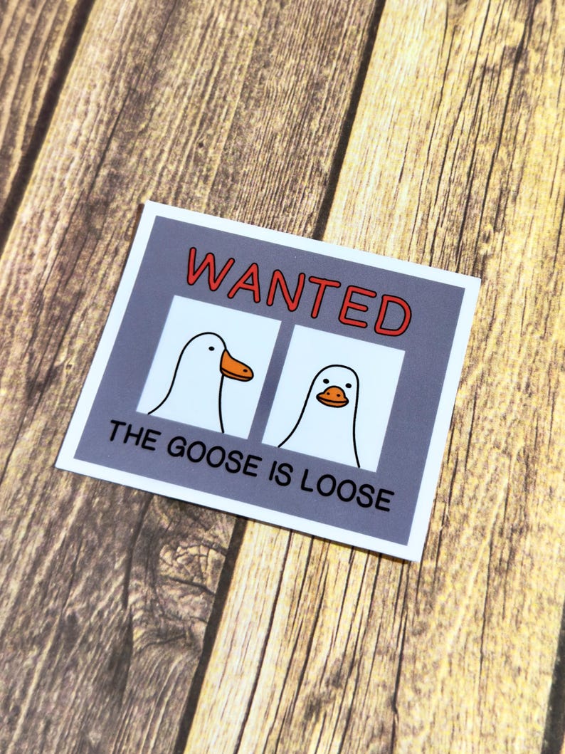 WANTED the Goose is Loose: Funny Trendy Meme, Sarcastic Mental Health ...