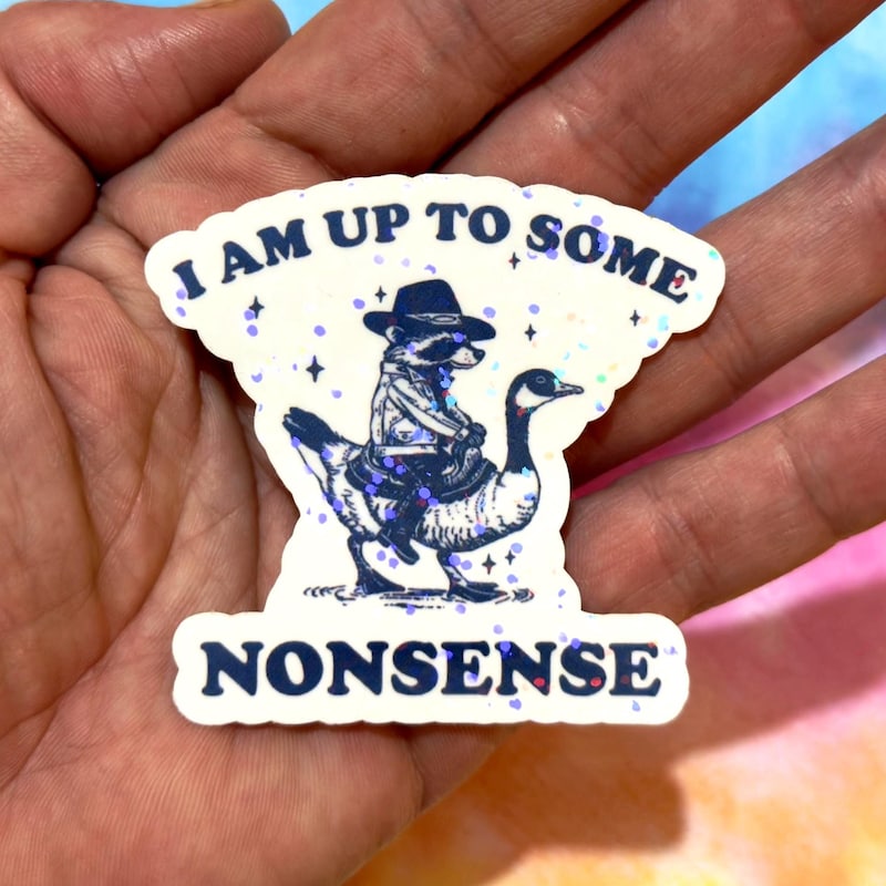 Funny Raccoon Stuff - Etsy UK