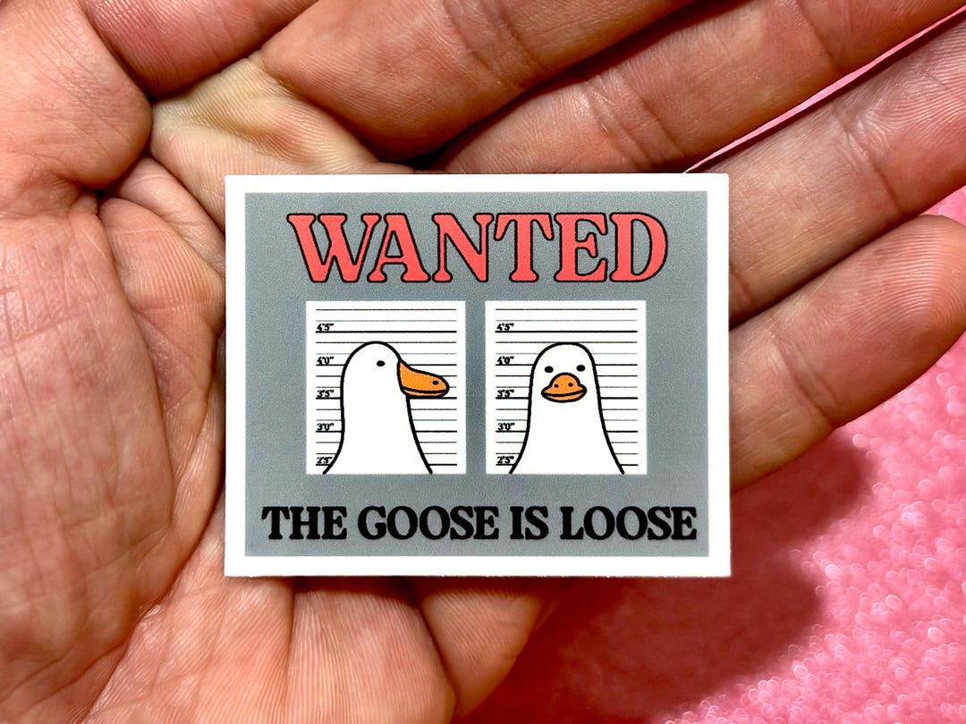 WANTED the Goose is Loose: Funny Trendy Meme, Sarcastic Mental Health ...