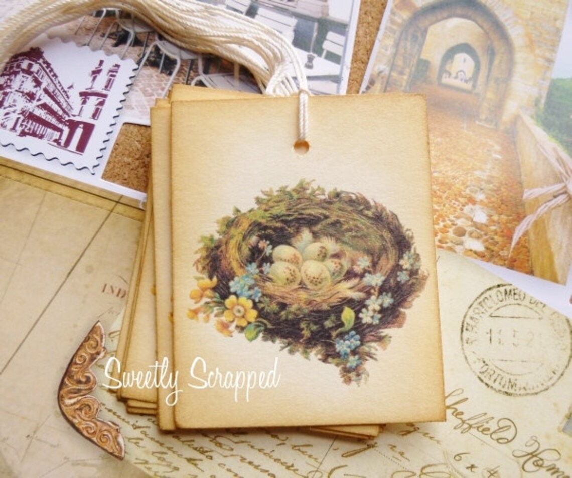 Nest Gift Tag, Spring, Birds of a Feather, Nature, Vintage Graphic - Etsy