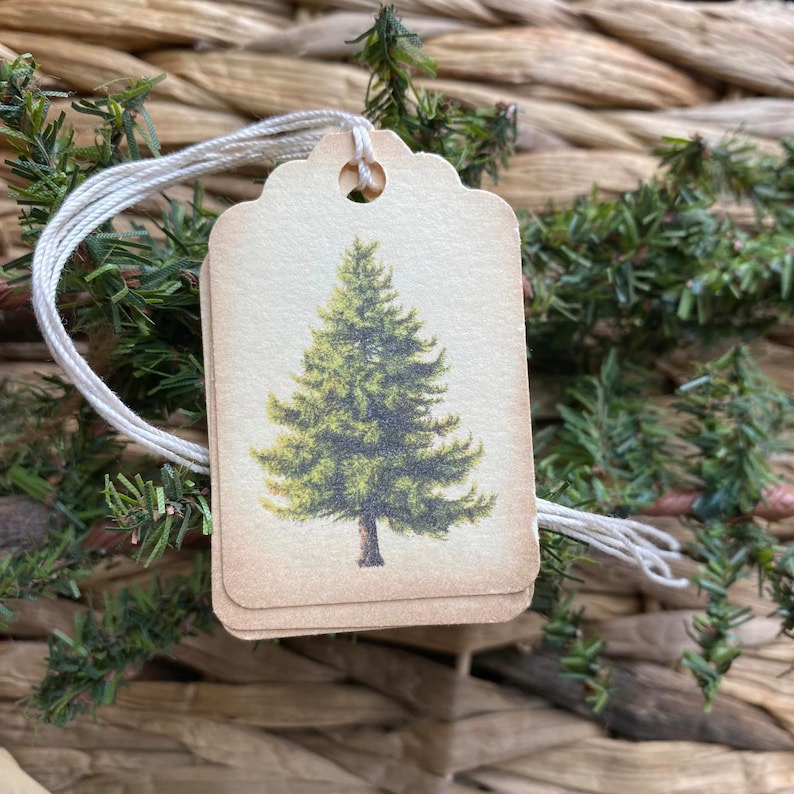 TREE TAGS. Christmas. Nature. Plant. Pine. Spruce - Etsy