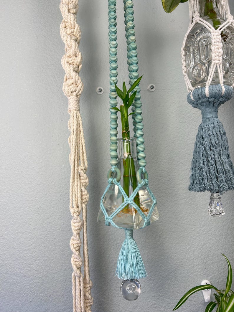 Macrame Propagation Wall Hanging/window Hanging - Vintage Glass Cruet ...