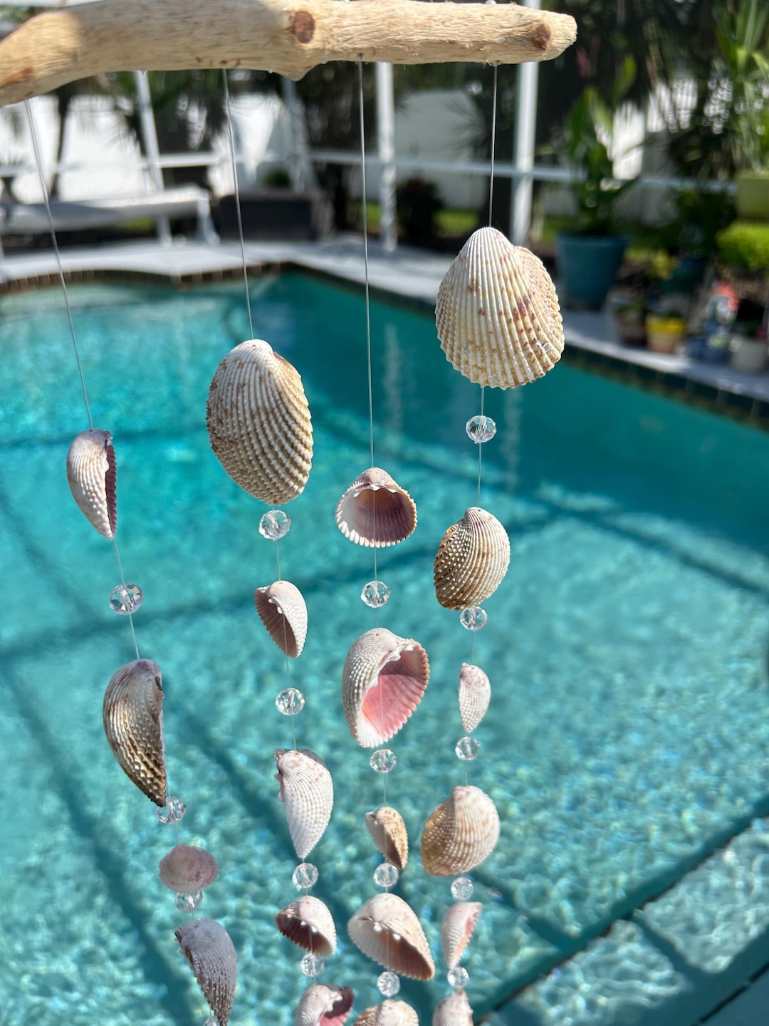 Suncatcher Windchime-cockle Shells and Glass Bead Sun Catcher ...