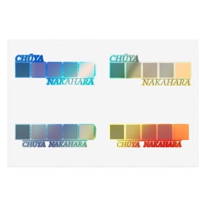 Chuuya Nakahara Color Pallete Sticker Sheets (FANCREATION) - Etsy