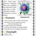 Cell Structure and Function | Printable Biology Notes PDF | Labeled ...