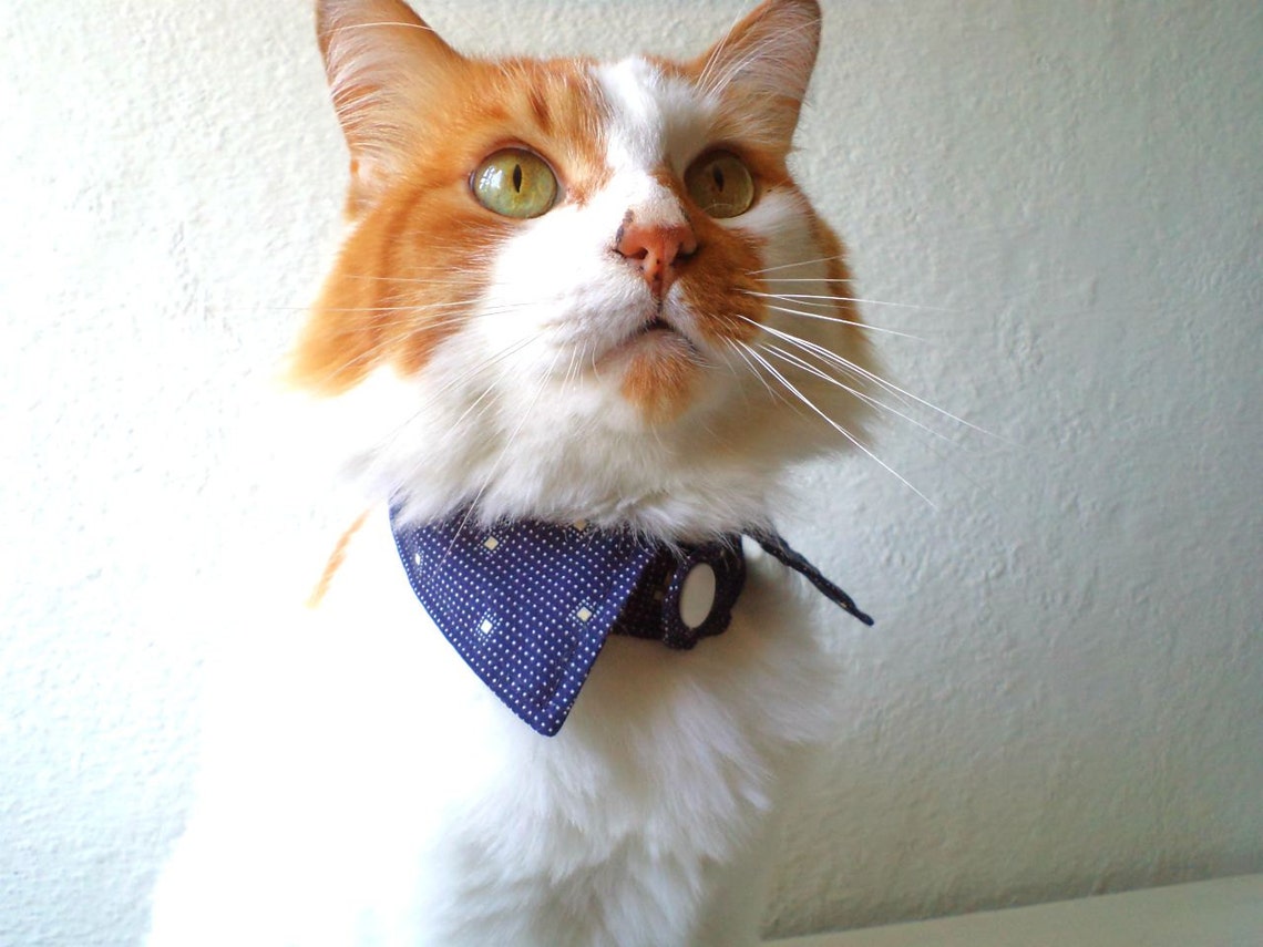 Cats and Small Dogs Collar, DIY, PDF Sewing Directions, Printable ...