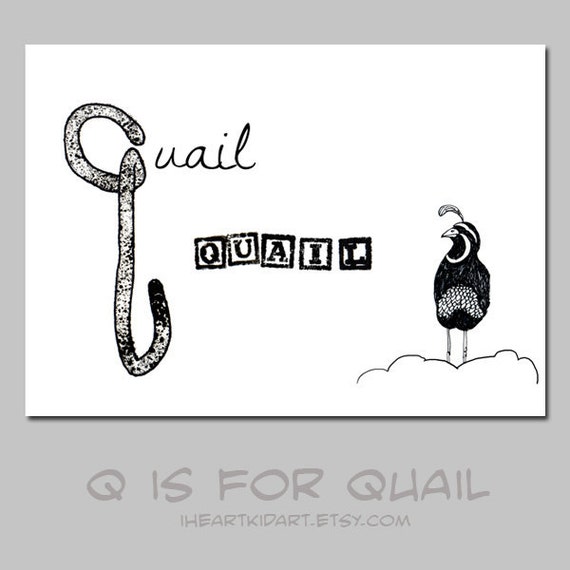 Q is for Quail Animal ABC Alphabet Kid Art Print | Etsy