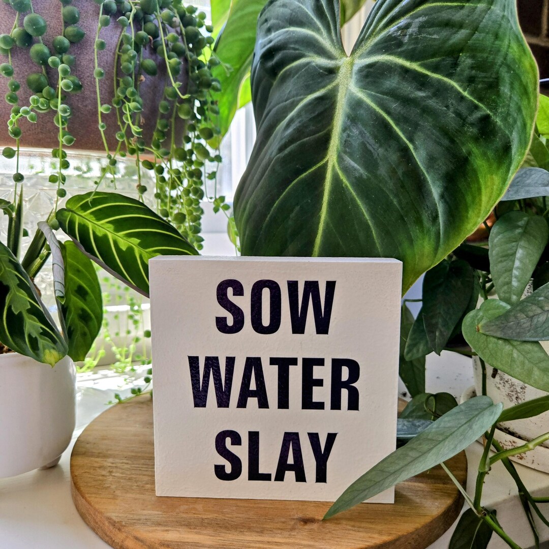 Sow Water Slay Sign – Painted Wood Block for Plant Queens (4.5” or 5.5 ...