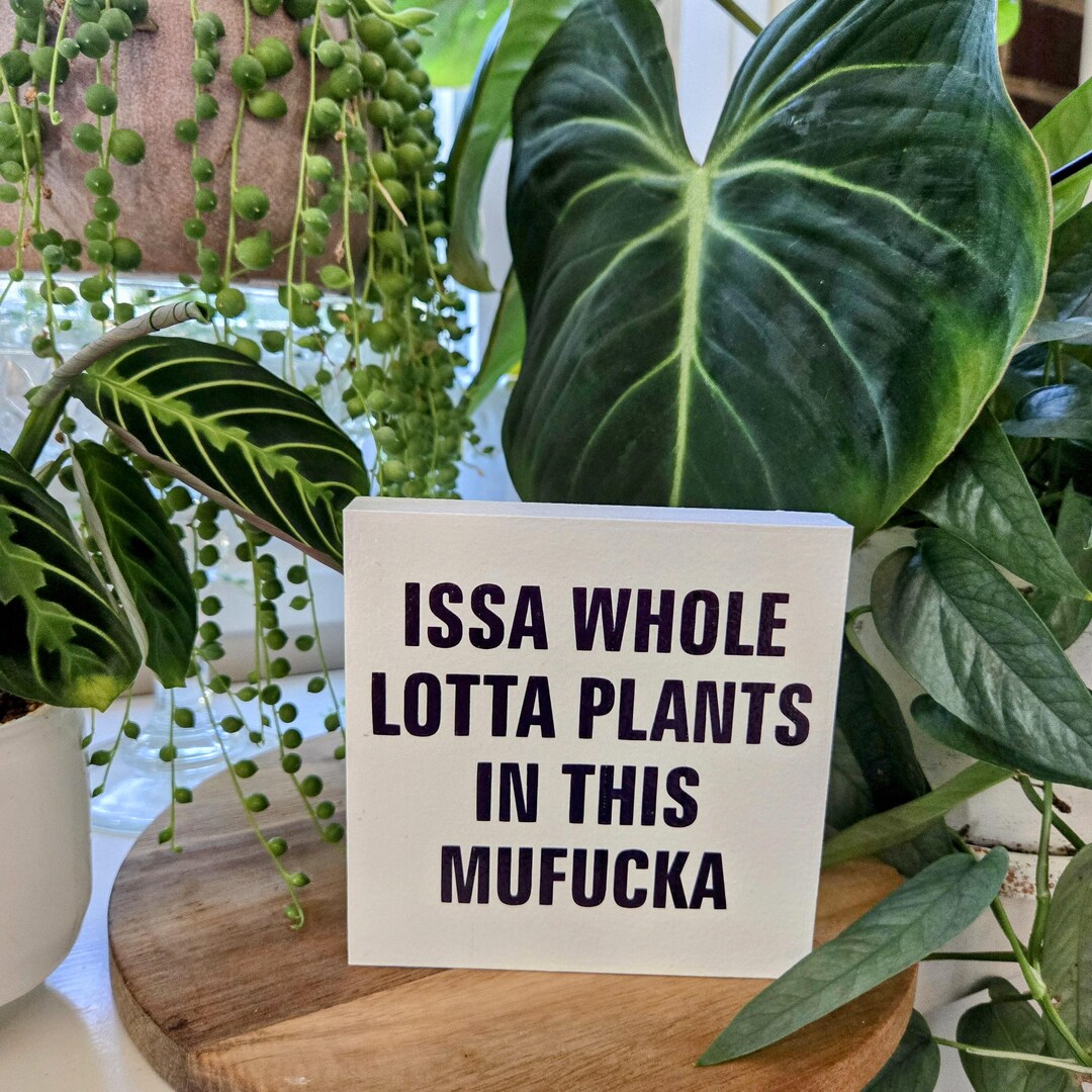 Whole Lotta Plants Funny Wood Sign – 4.5x4.5" Plant Lover Gift – Bold ...