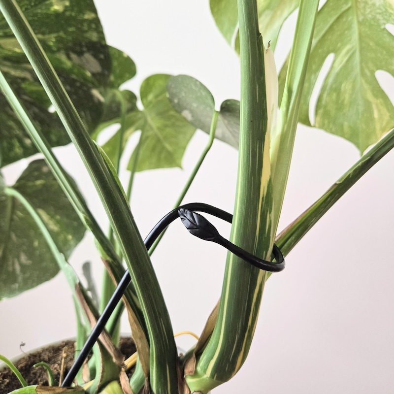 Plant Stake Handmade - Etsy