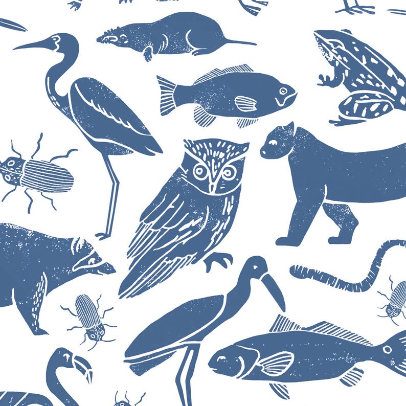 Blue Animal Wallpaper for Kids Room – Jungle Safari Wall Mural, White ...