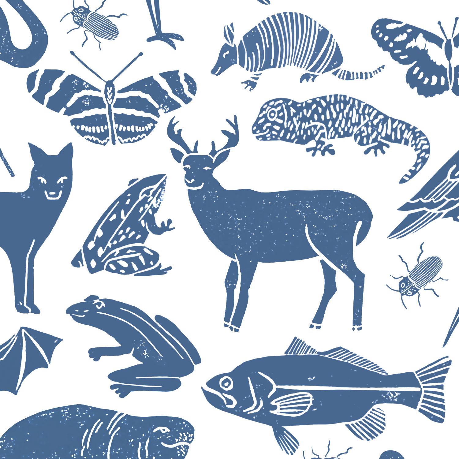 Blue Animal Wallpaper for Kids Room – Jungle Safari Wall Mural, White ...
