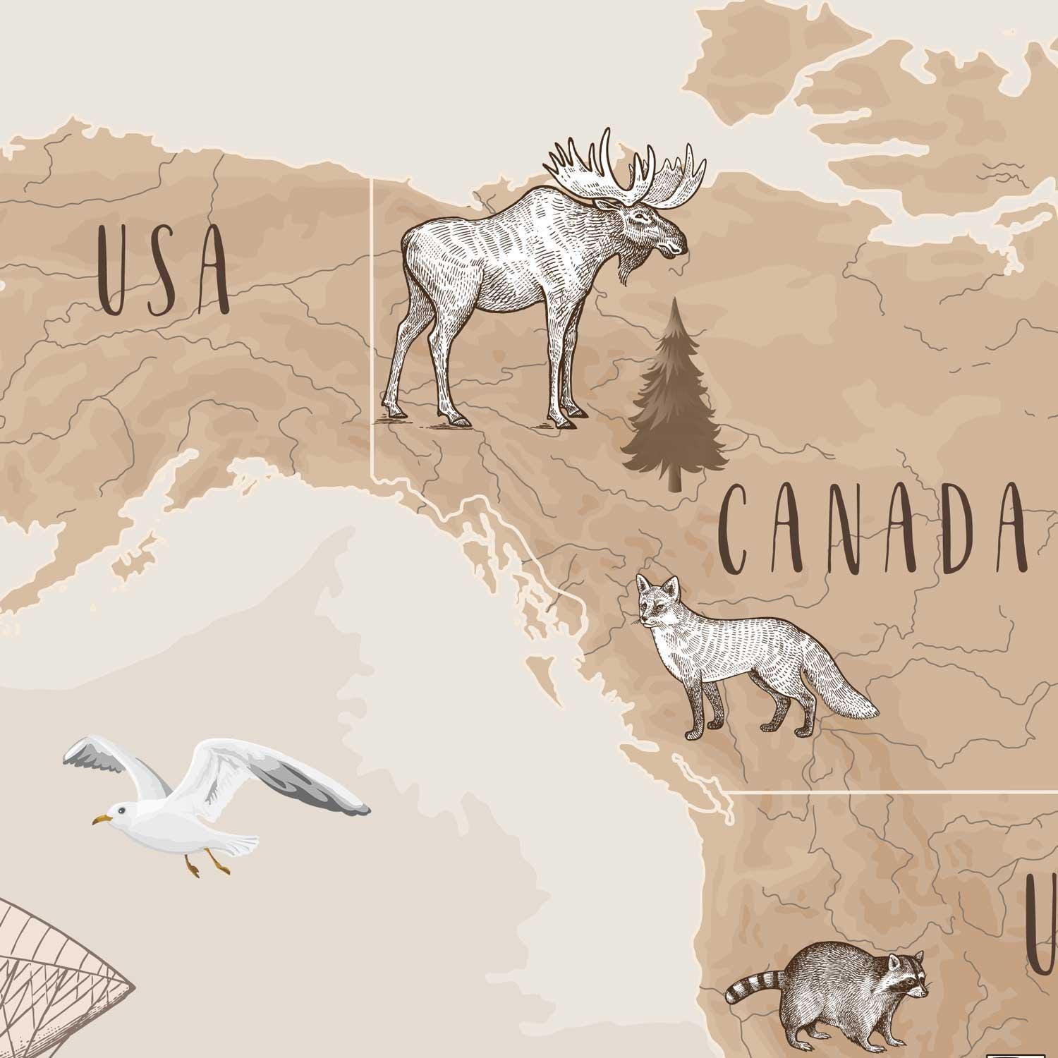 Educational World Map Wallpaper: Kids' Room Animal Atlas Mural - Etsy